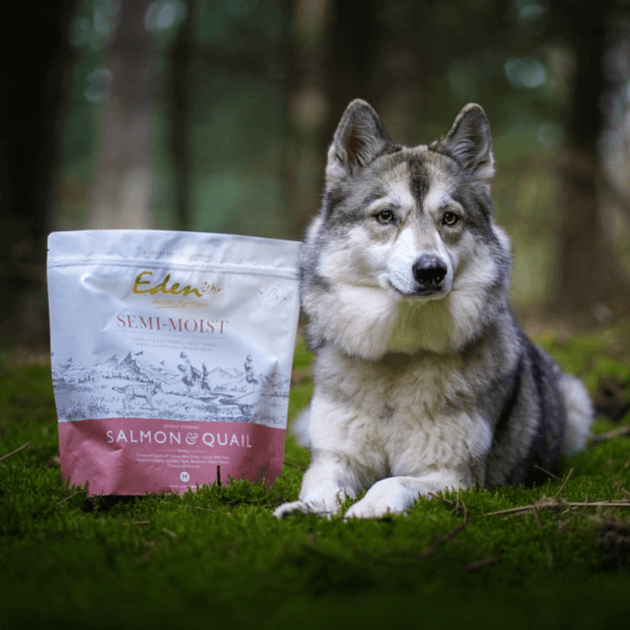 eden_hundefoder_semi_moist_a9fc1f56-b926-4914-9e9f-3d4644b01f9a ...