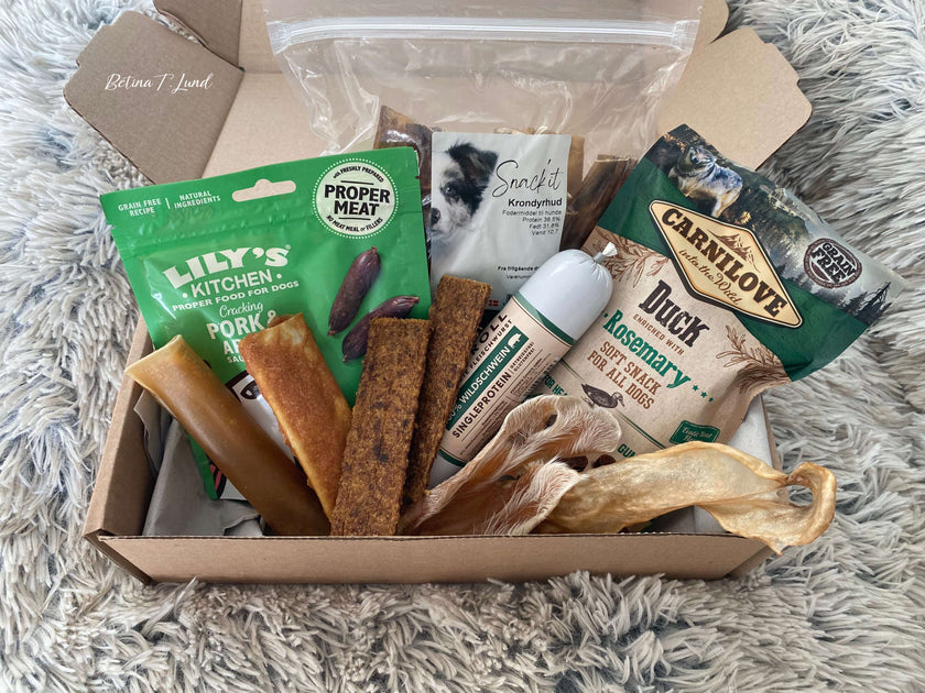 maanedsbox_hund_hundekassen_februar_1200x630.jpg?v=1740122986